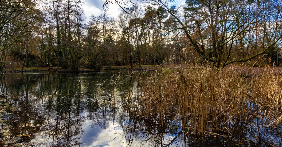 Rüsselsheimer Ostpark wird zum „ruhigen Gebiet“ erklärt